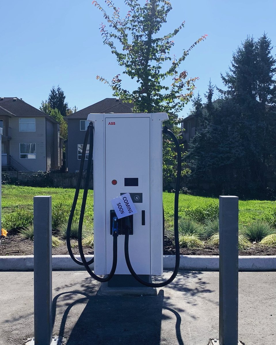 Case Studies and Success Stories